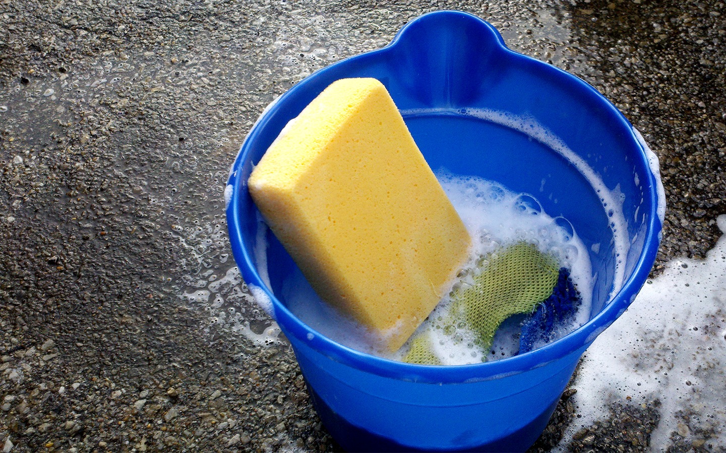 SafeGuard Cleaning Recommendations - IMMI